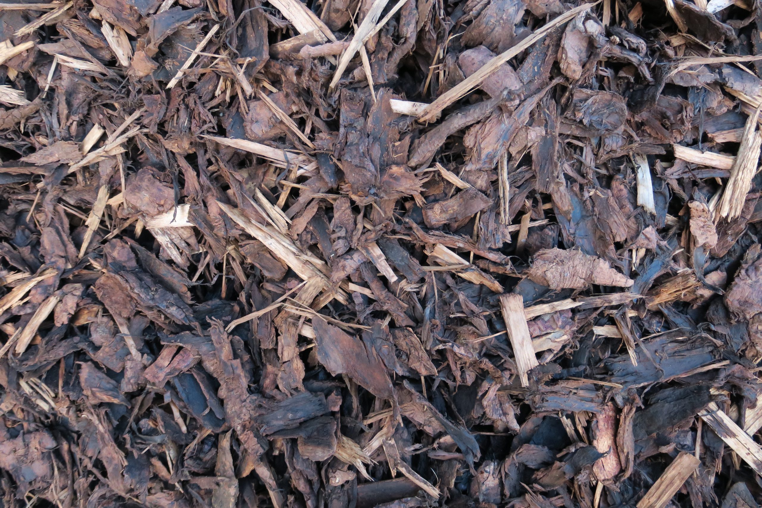 Decorative Bark | J & J Currie